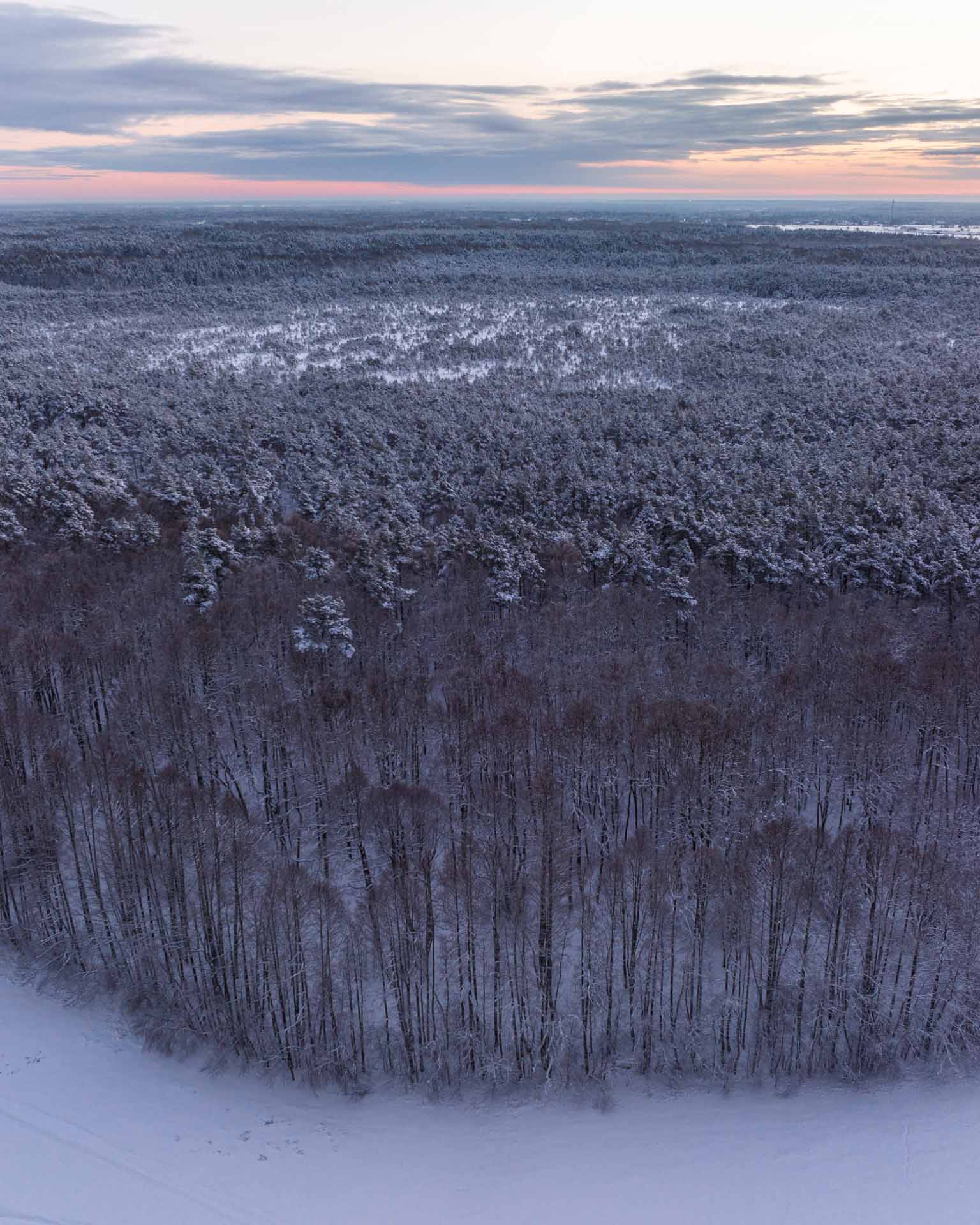 Muraste talvine raba - Riho Kirss / Droonifotod