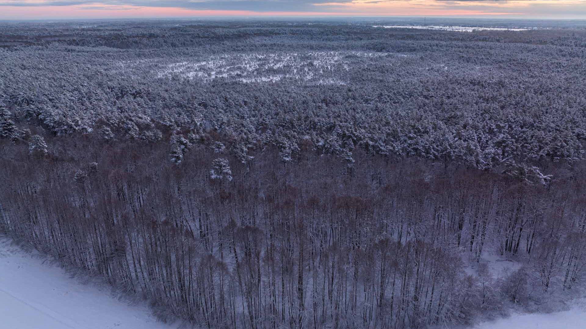 Muraste talvine raba - Riho Kirss / Droonifotod